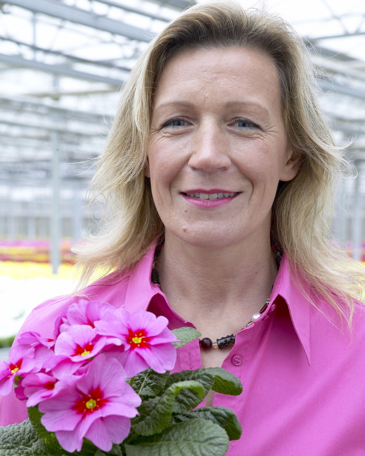 Breeding and seeds / and spring becomes more colourful - Hethor Flowers